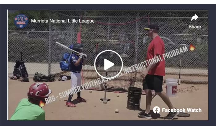 Home [www.mnllbaseball.org]