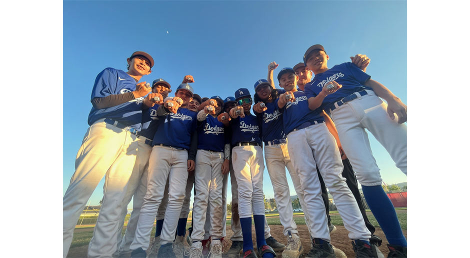 Home [www.mnllbaseball.org]