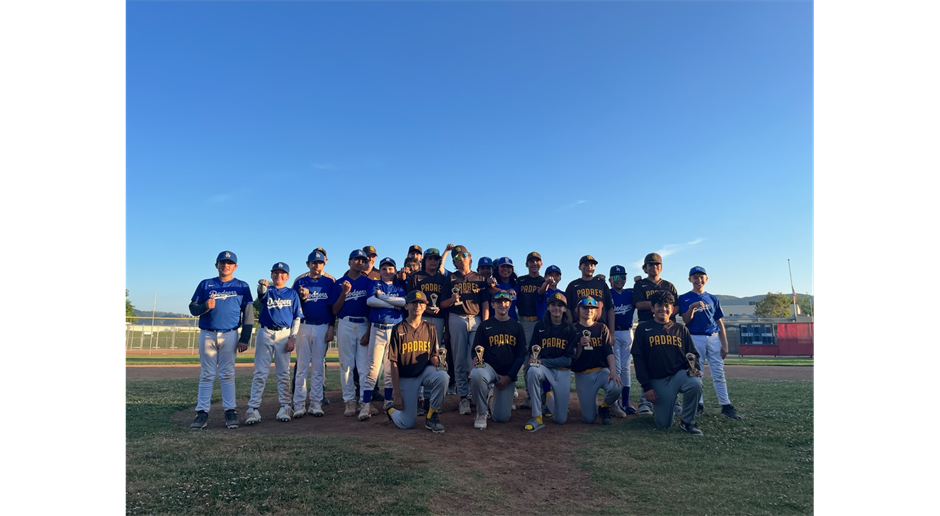 Home [www.mnllbaseball.org]